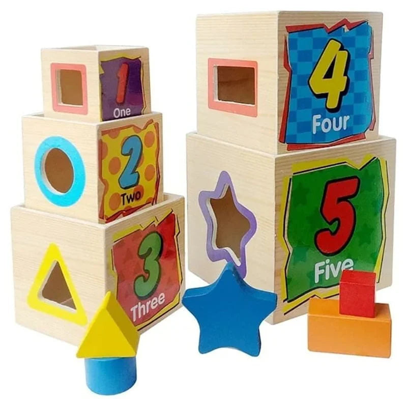 Wooden Wisdom Sorter Shape Blocks 5Pcs Set – Action WebStore